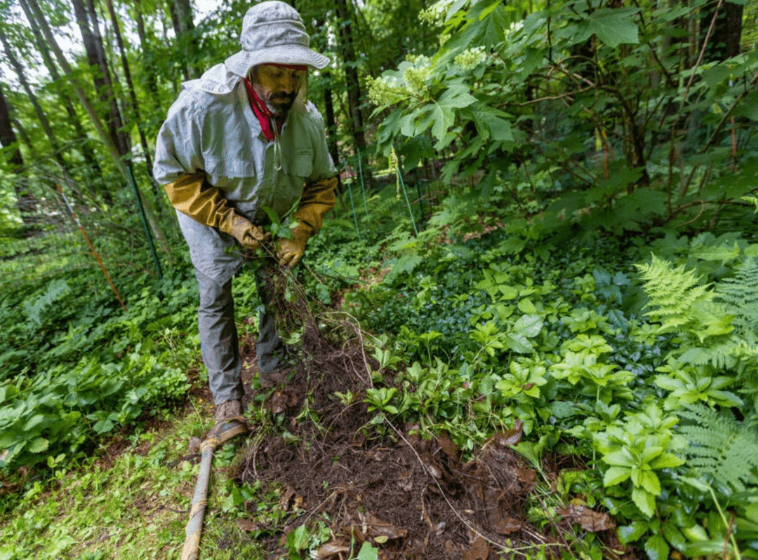 Increases in atmospheric carbon dioxide lead plants to prod… | 1440